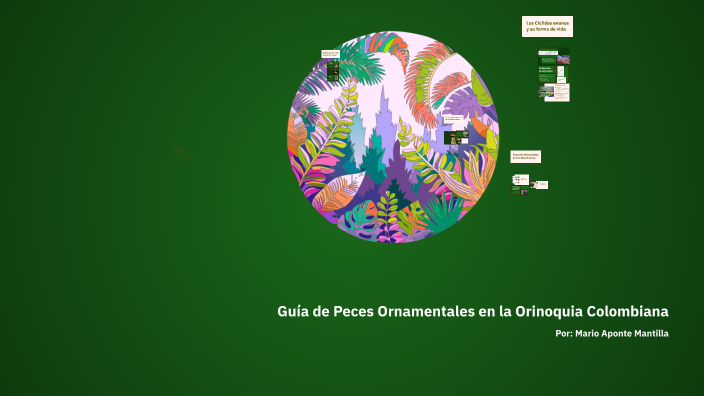 Guía de Peces Ornamentales en la Orinoquia Colombiana by Mario Aponte ...