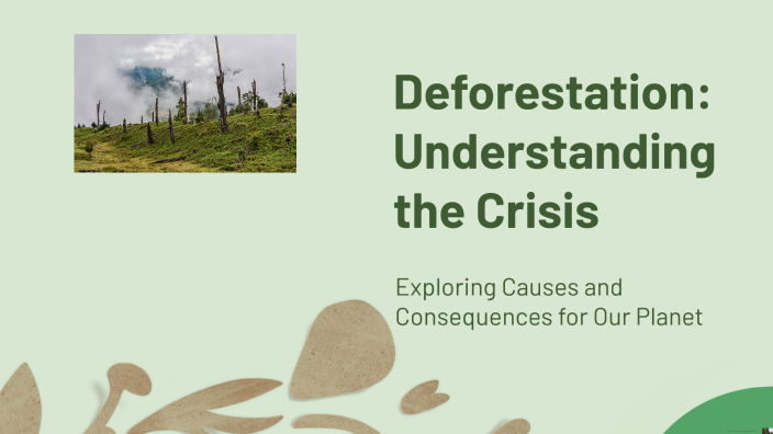 Deforestation: Understanding the Crisis by Anchal Singh on Prezi
