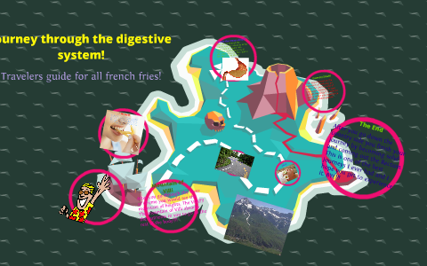 Journey through the digestive system by Emma Hunt on Prezi