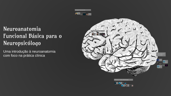 Neuroanatomia Funcional Básica para o Neuropsicólogo by Ruan Lopes on Prezi