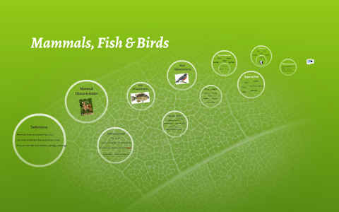 Mammals, Fish & Birds by Kristin Hoffman on Prezi