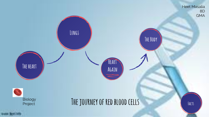 Bio Blood by Heet Masalia on Prezi