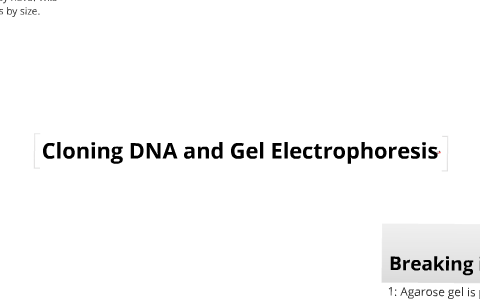 Cloning DNA and Gel Electrophoresis by Jenna Richards on Prezi