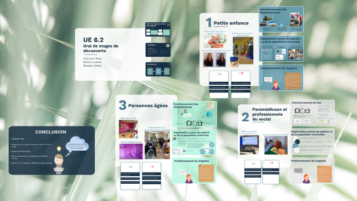 Diapo Stages by Louise Barbry on Prezi