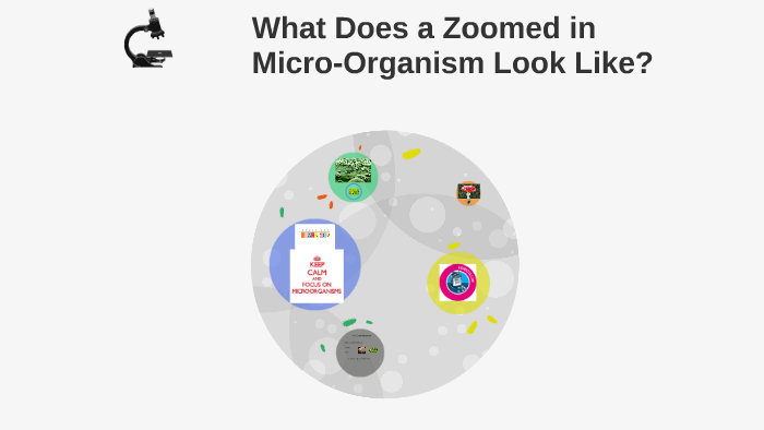 What Does a Zoomed in Micro-Organism Look Like by Caitlin Apps on Prezi