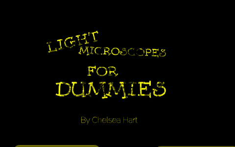 Light Microscopes for Dummies by Chelsea Hart on Prezi