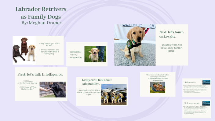 Labrador Retrivers as Family Dogs by MEGHAN DRAPER on Prezi