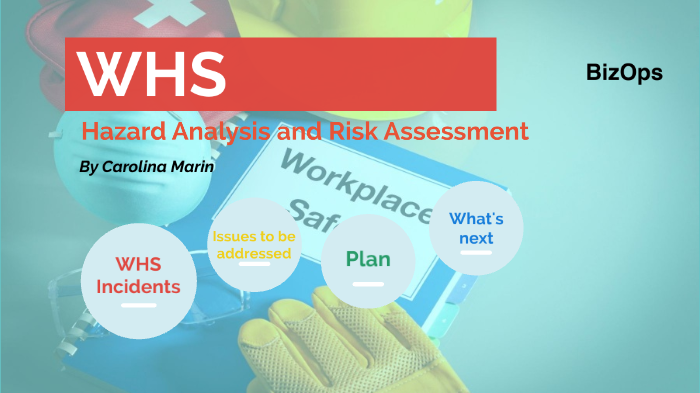 WHS Hazard Analysis and Risk Assessment by carolina marín on Prezi
