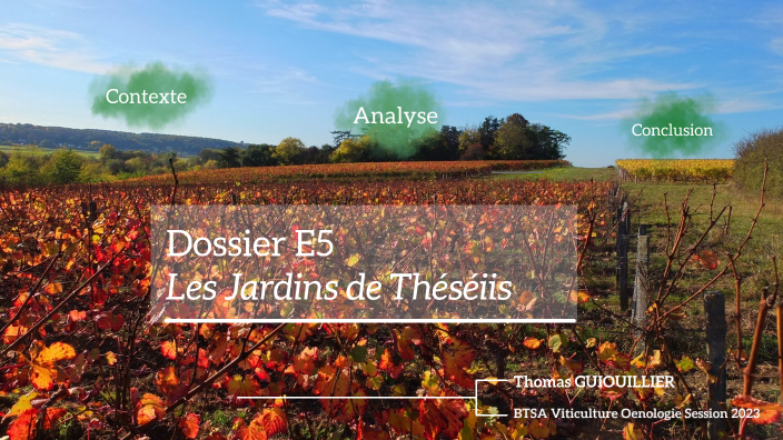 Epreuve E5 By Thomas Guiouillier On Prezi