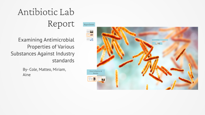 Antibiotic Lab Report by cole haithcoat on Prezi