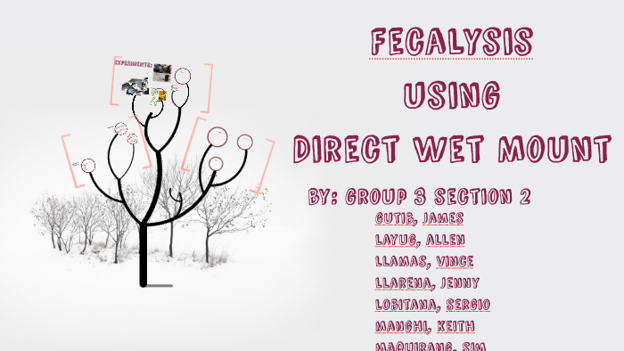 Fecalysis using Direct Wet Mount by Keith Manghi on Prezi
