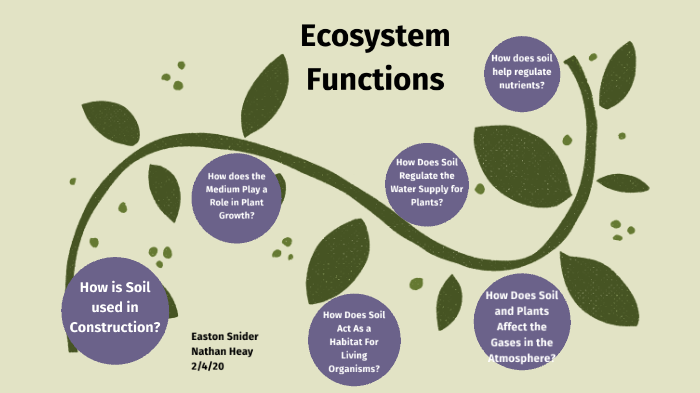 Ecosystem Functions of Soils by Easton Snider on Prezi