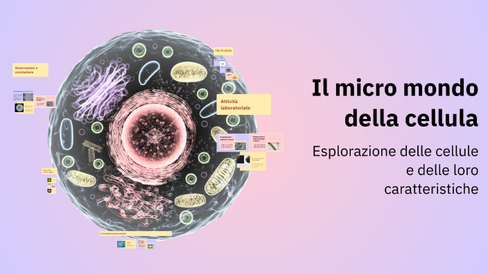 Il micro mondo della cellula by Silvia Raimondi on Prezi