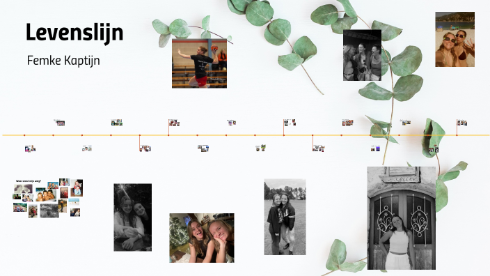 Levenslijn Femke Kaptijn by Femke Kaptijn on Prezi