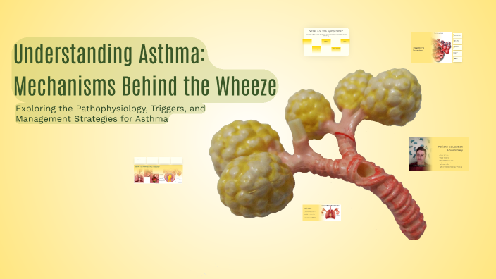 Understanding Asthma: Mechanisms Behind the Wheeze by Katarzyna ...