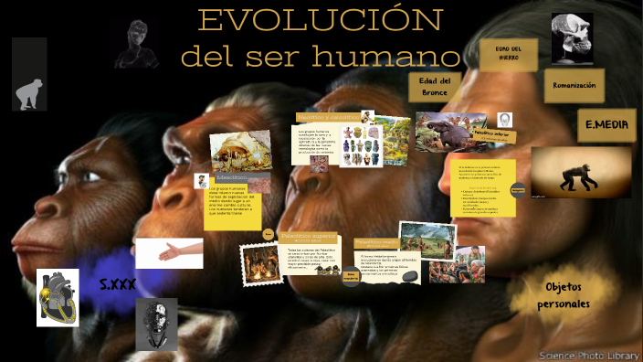 evolución ser humano by Paula Pérez on Prezi