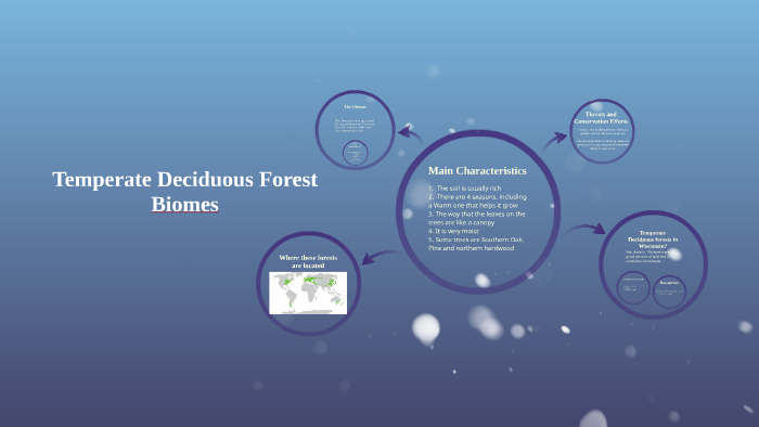 Temperate Deciduous Forest Biome by Natalie M on Prezi