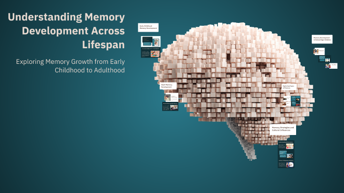 Understanding Memory Development Across Lifespan by Georgina Kincaid on Prezi
