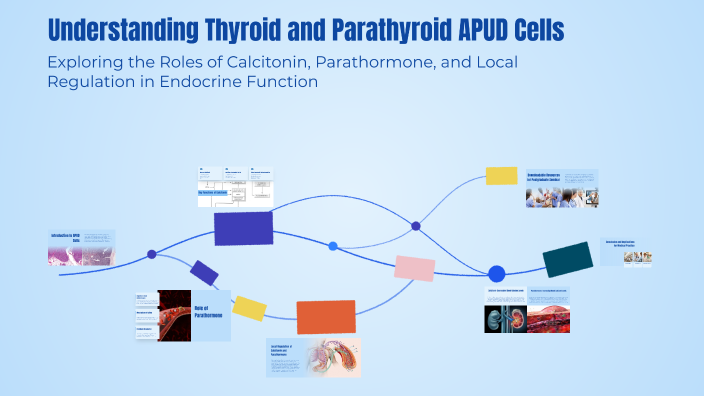 Understanding Thyroid and Parathyroid APUD Cells by jasmine saini on Prezi