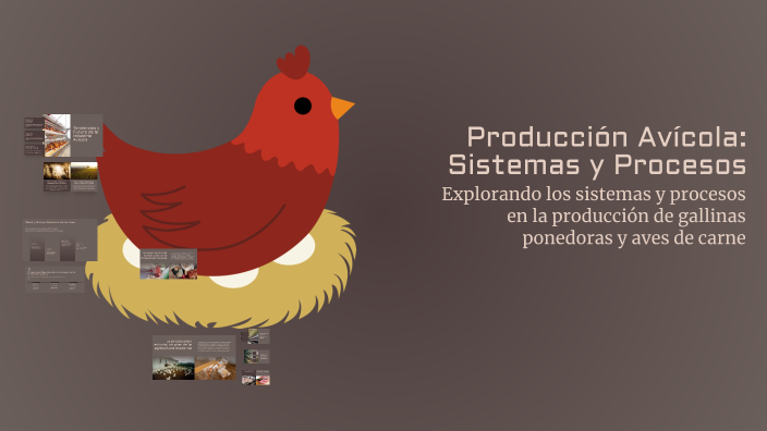 Producción Avícola: Sistemas y Procesos by fernando arias on Prezi