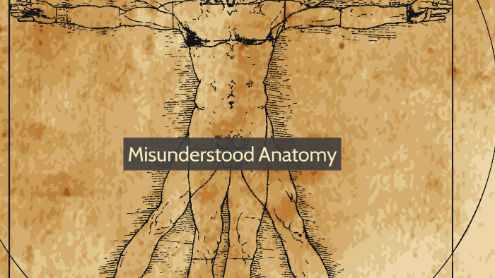 Misunderstood anatomy by Phil Cohen on Prezi