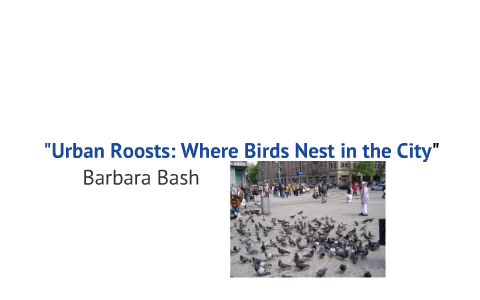 Unit 2 "Urban Roosts: Where Birds Nest in the City" by Christina Fritz ...