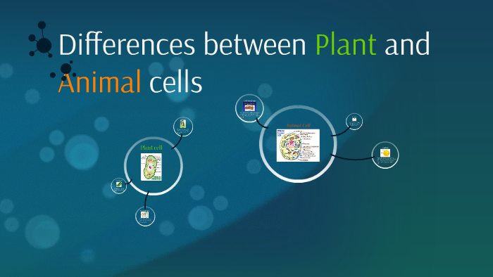 Differences between Plant and Animal cell by Robert Nelson on Prezi Next
