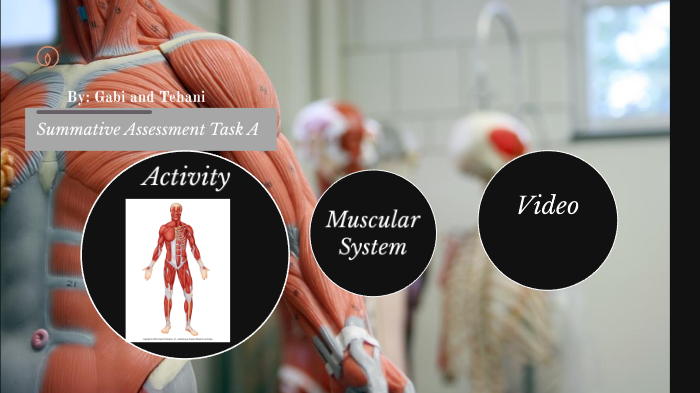 Summative Assessment Muscular System by gt fn on Prezi