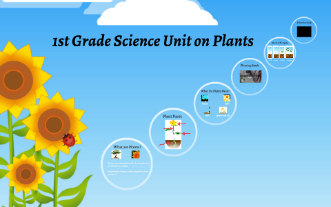 1st Grade Science Unit on Plants by Katie Ruths on Prezi
