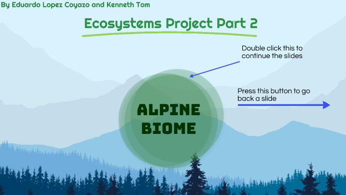 Ecosystems Project Part 2 | Alpine Biome by Eduardo Lopez Coyazo on ...