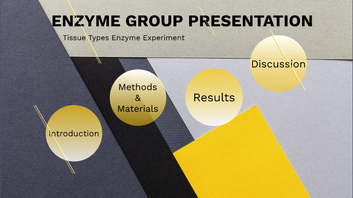 Tissue Type Enzyme Experiment by Biol Lab on Prezi