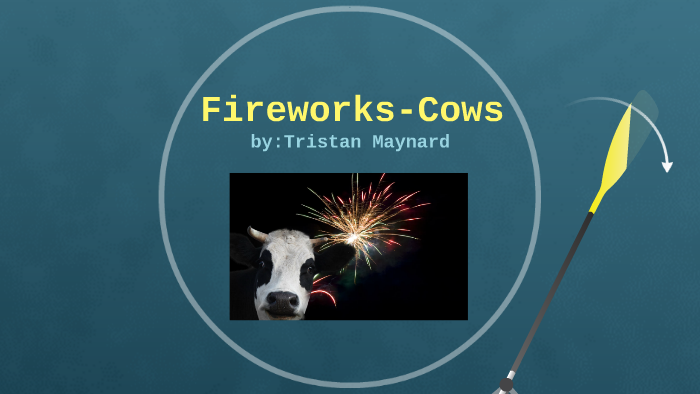 Fireworks-Cows by Tristan Maynard on Prezi