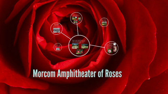 Morcom Amphitheater of Roses by Elisia Geyer on Prezi