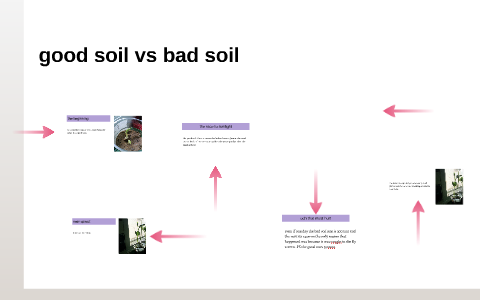 good soil vs bad soil by jed orrock on Prezi