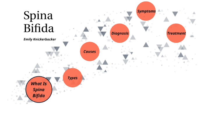 Spina Bifida by Emily Knickerbocker on Prezi