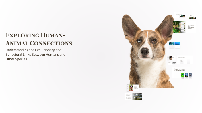 Exploring Human-Animal Connections by Cesia Fiorella Cáceres Giménez on ...
