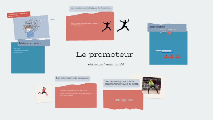 Le profil promoteur by lami on Prezi