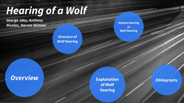 Wolf Hearing Project by Charles Carmichael on Prezi