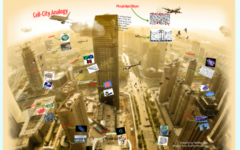 City-Cell Analogy by Eissa Guardian on Prezi