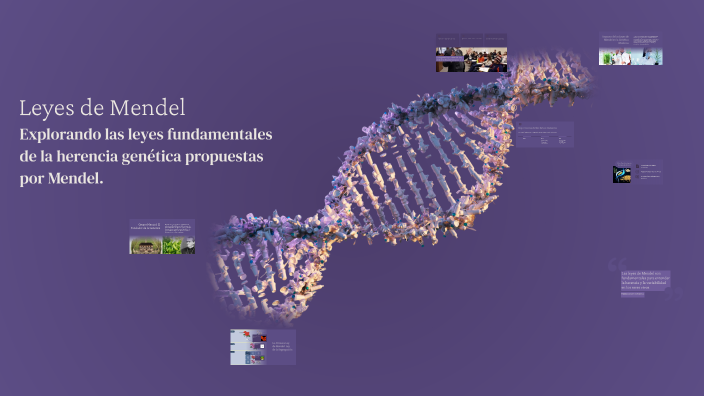 Leyes De Mendel By Harold Sanabria On Prezi