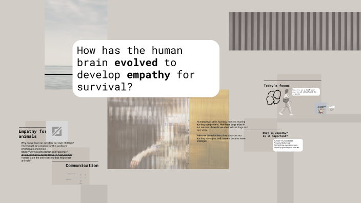 How has the human brain evolved to developed empathy for survival? by ...
