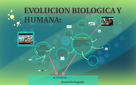 EVOLUCION BIOLOGICA by Daniela Rivera Penagos on Prezi