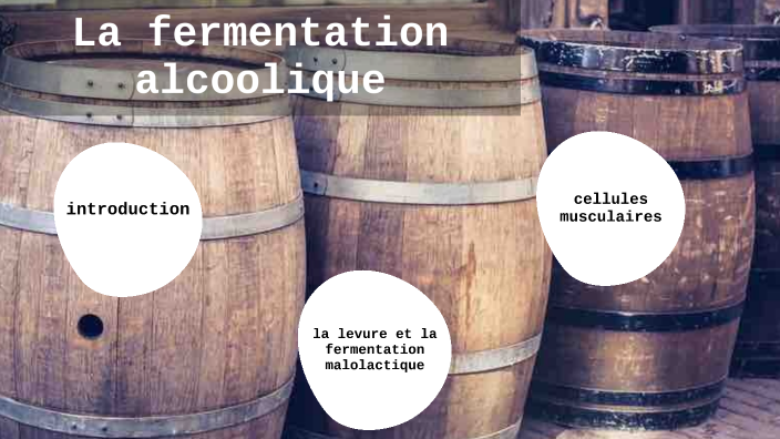 La fermentation alcoolique by Candice Auvray on Prezi