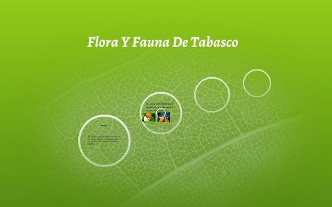 Flora Y Fauna De Tabasco by Diana Bautista Perez on Prezi