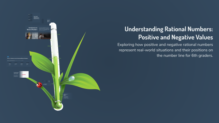 Understanding Rational Numbers: Positive and Negative Values by Amy ...