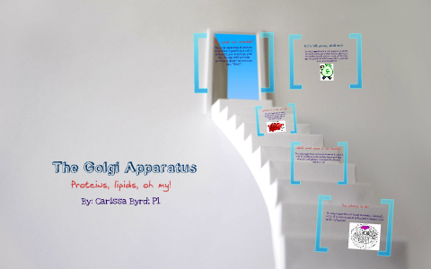 Golgi Apparatus Sales Pitch by Carissa Byrd on Prezi