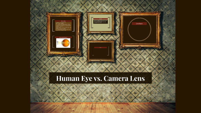 The Human Eye vs. Camera by Grant Burlock on Prezi