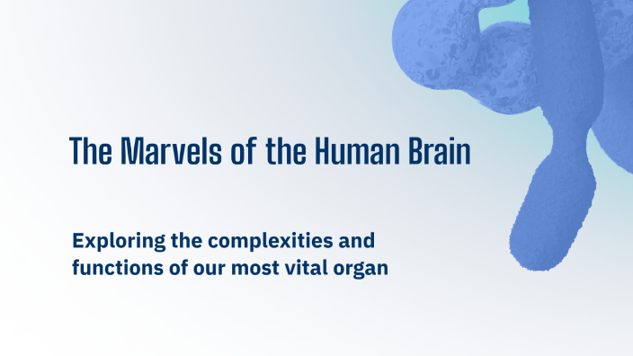 The Marvels of the Human Brain by kasi raja on Prezi