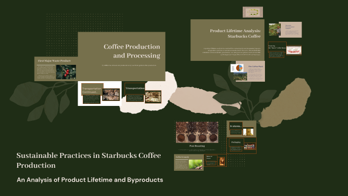 Sustainable Practices in Starbucks Coffee Production by Hannah Stuckey ...