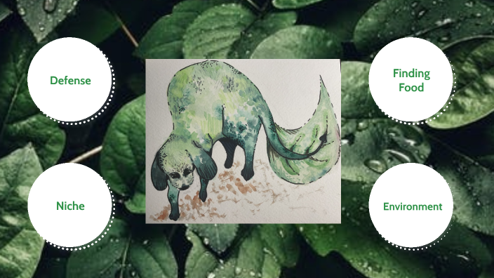 Create an Organism Project (Gr.10) by Stevie Sander on Prezi